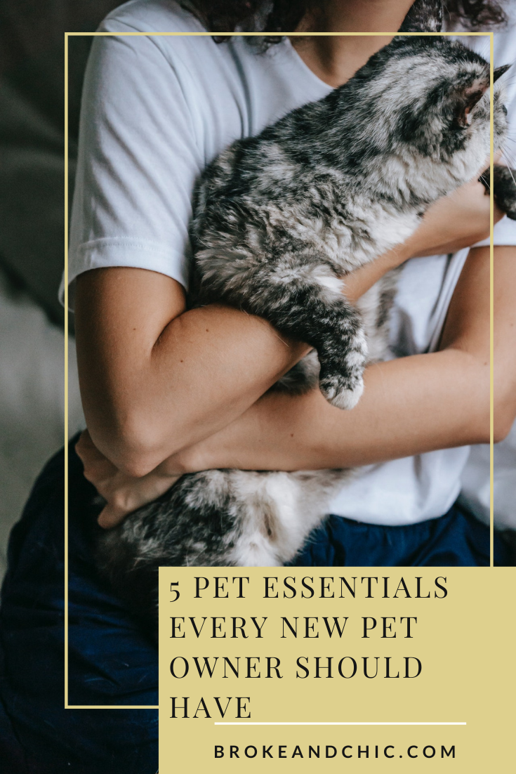 5 Pet Essentials Every New Pet Owner Should Have - Broke and Chic